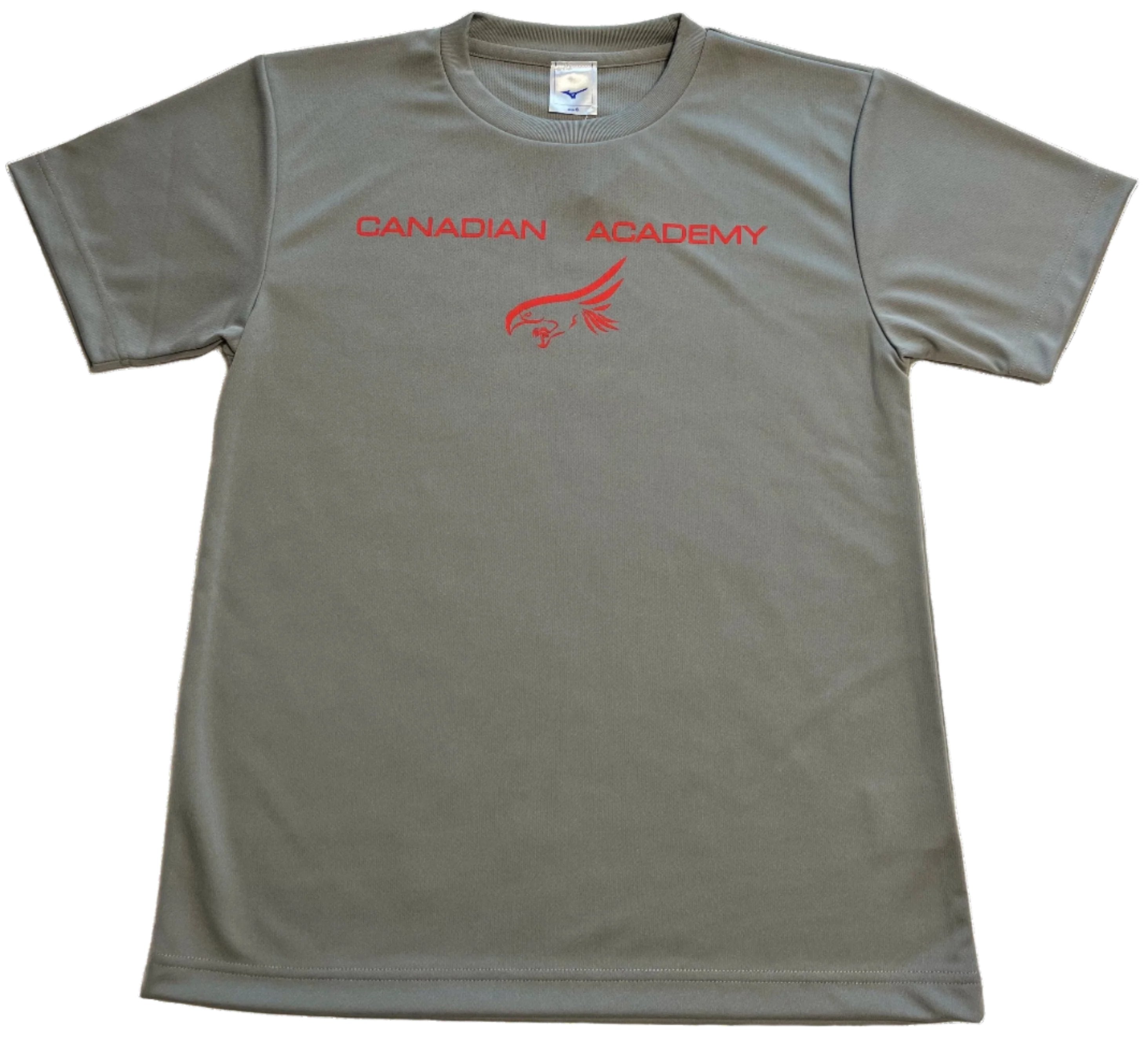PE Shirt - Grey – Canadian Academy Falcon Store